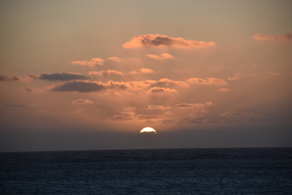 Alan & Lyn's Huge Adventure: 2020