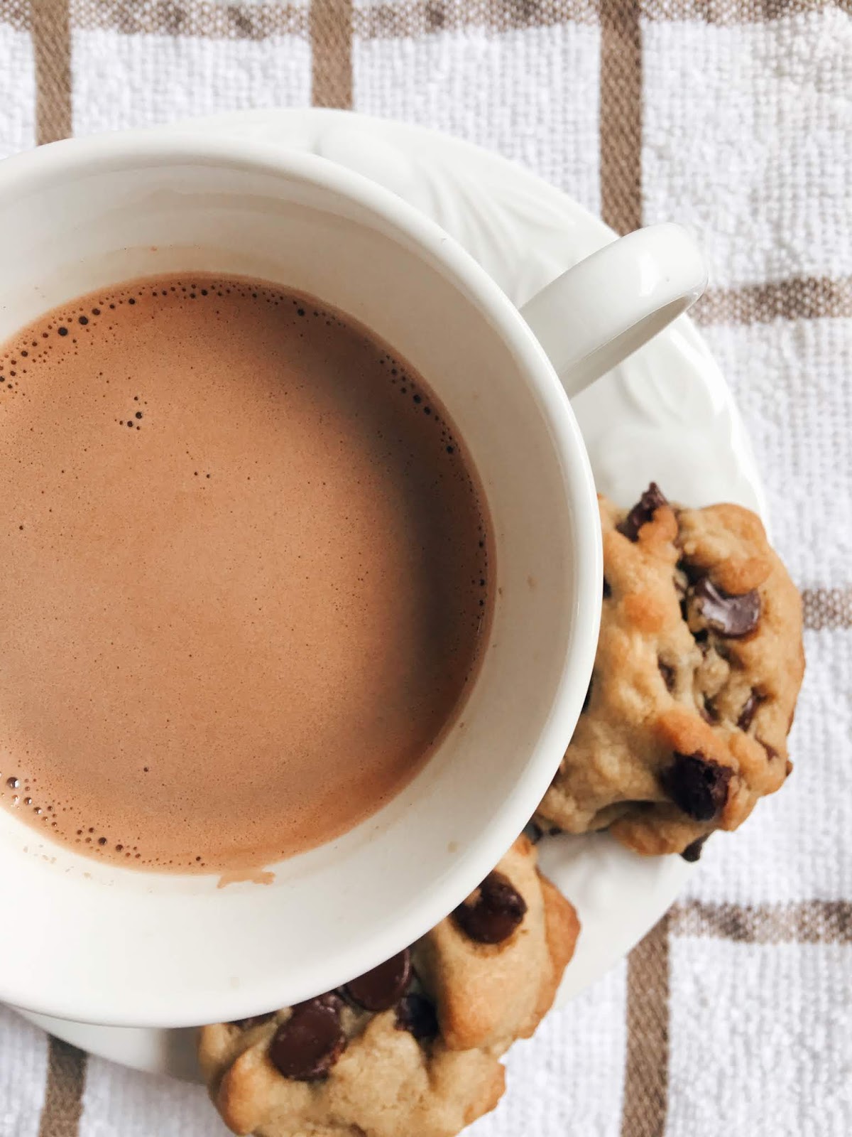 Old Fashioned Hot Cocoa - The Petite Plantation