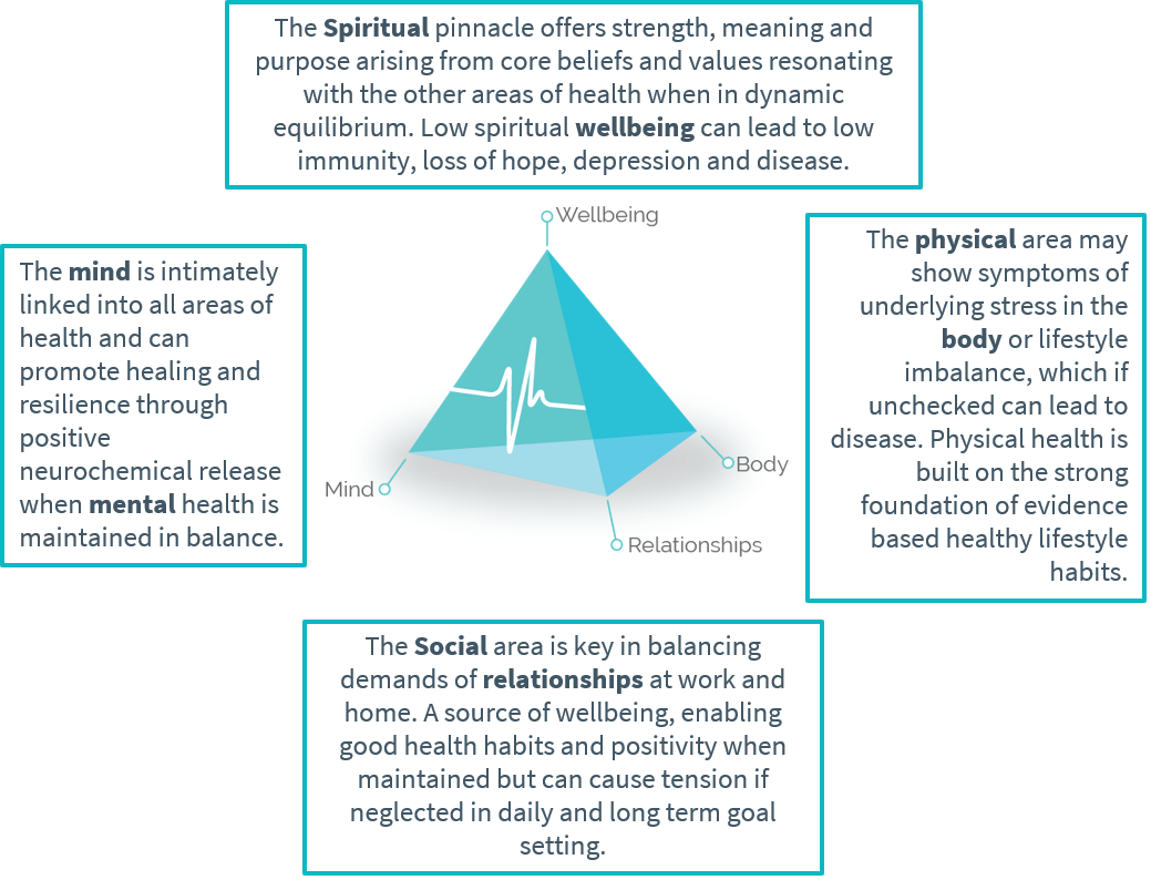 Integrated Health Pyramid Model of Health