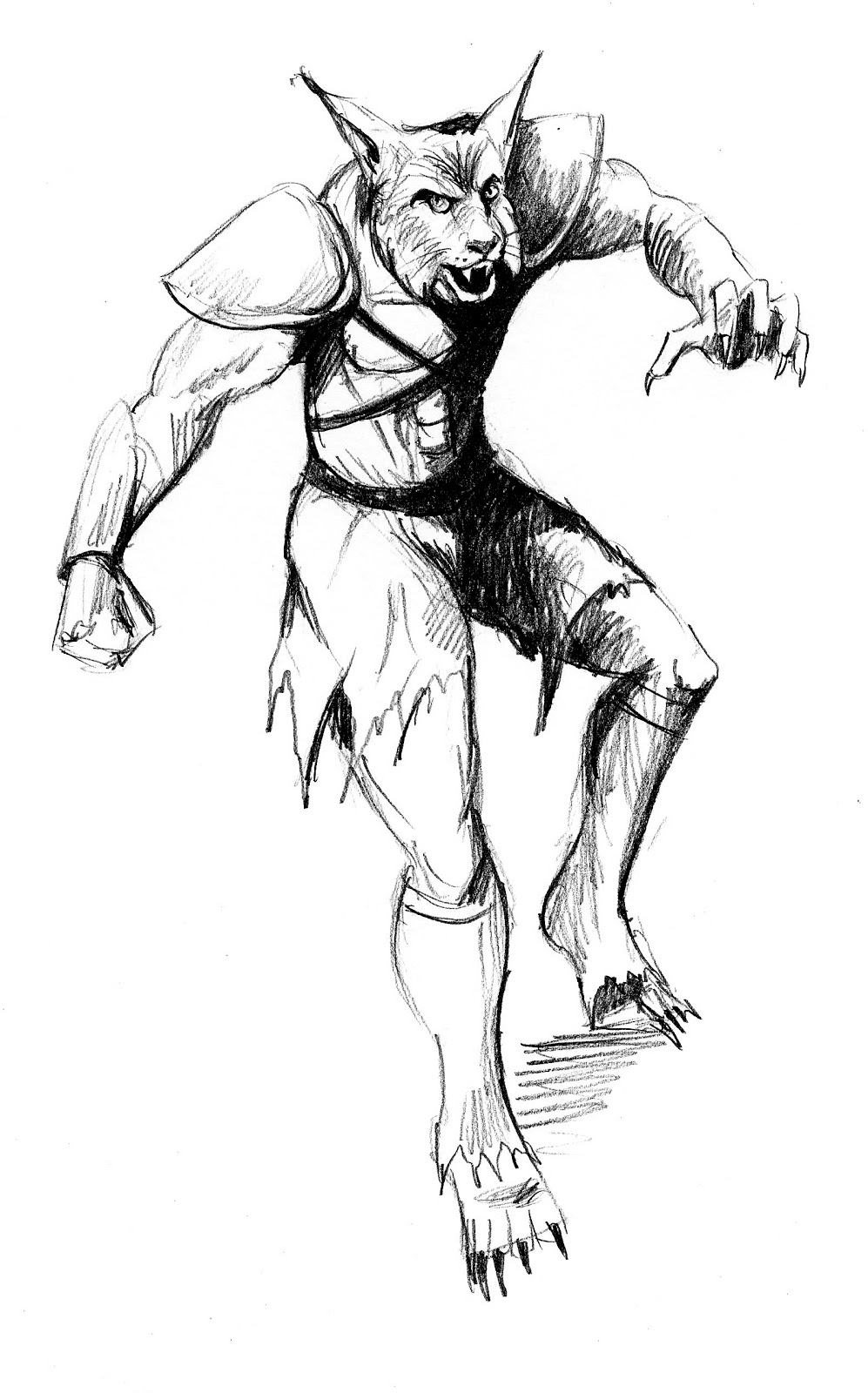 The Art of Fantasy Football: The Garion Suite: Werecat