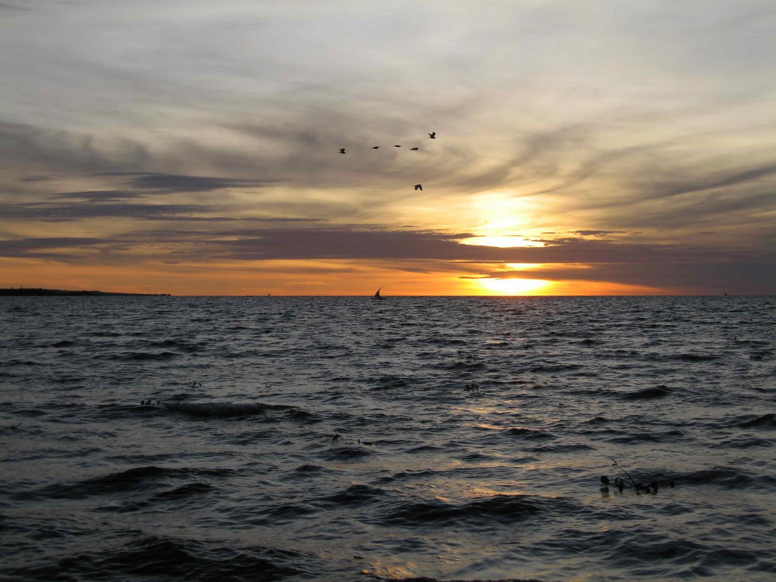 Stumpy's Blog: June 2006