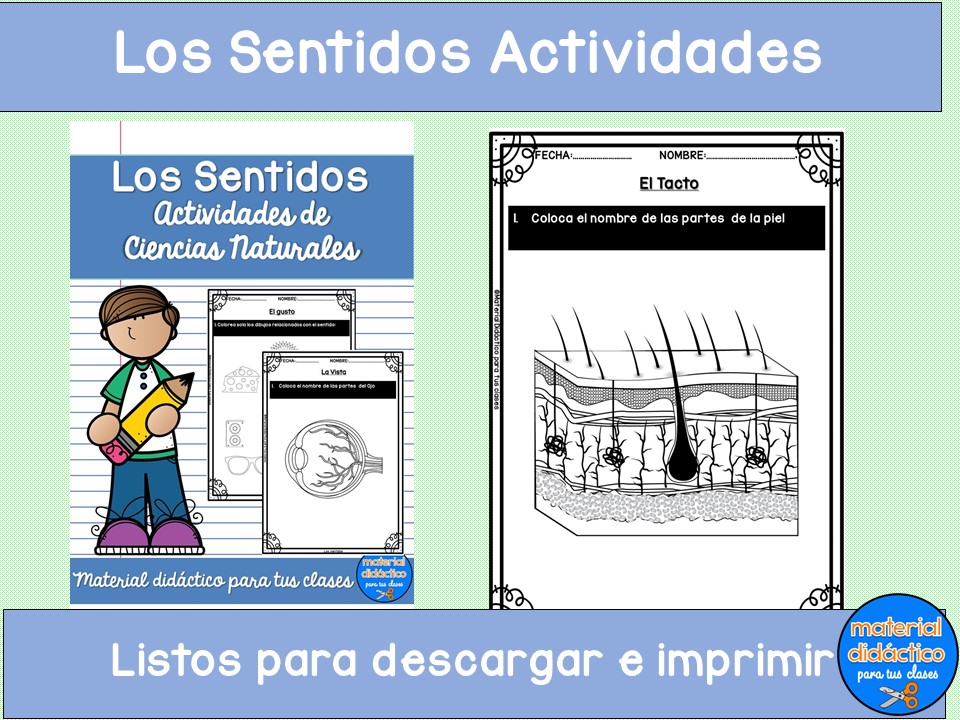 Los Sentidos, ciencias - Material Didactico para tus clases