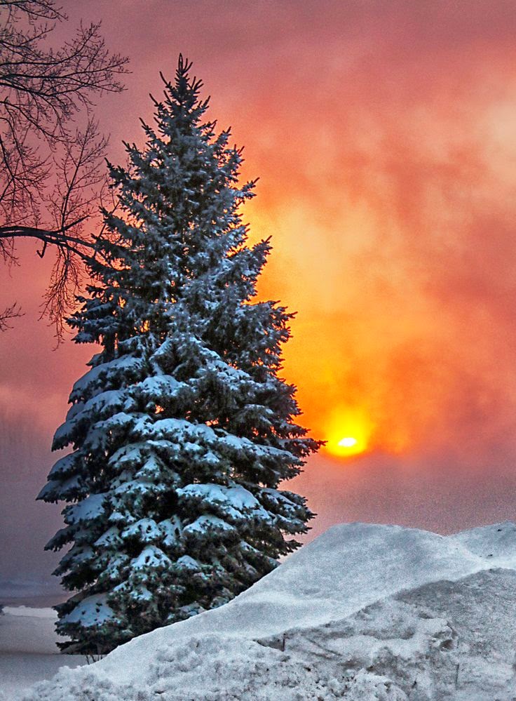 Snowy sunset ~ Stunning nature