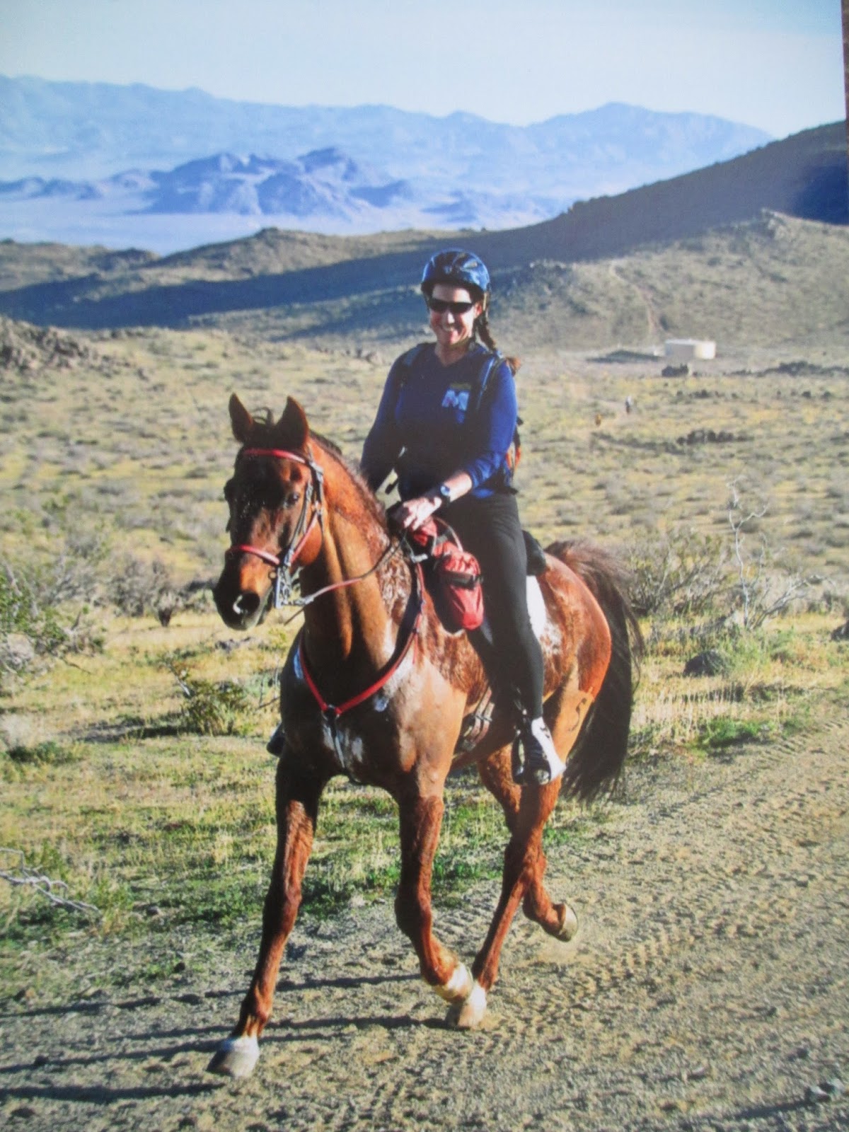 Life is Beautiful. Eastern Sierra Endurance Rider: 20 Mule Team ...