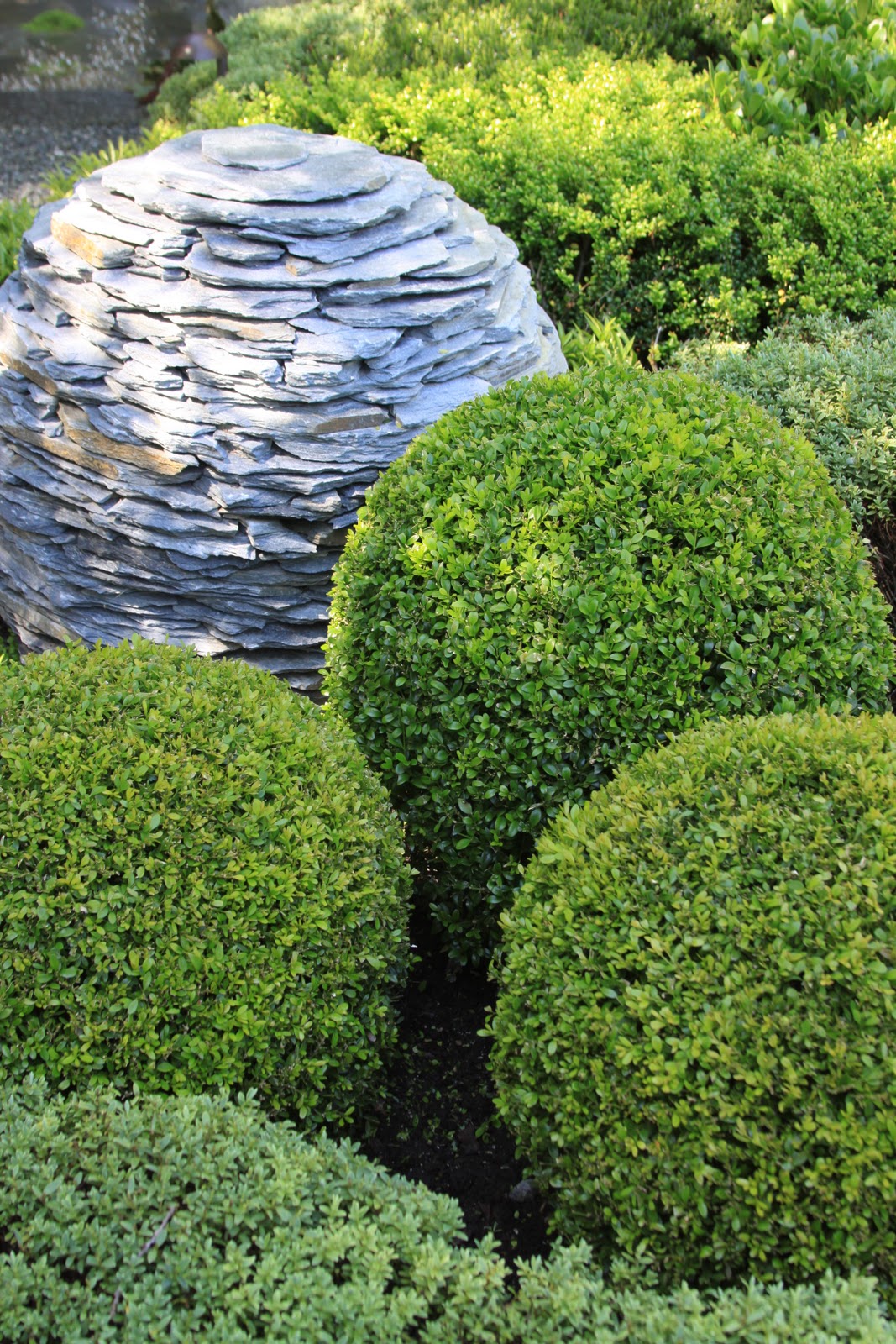 paradis express: Bamboomary in Vancouver