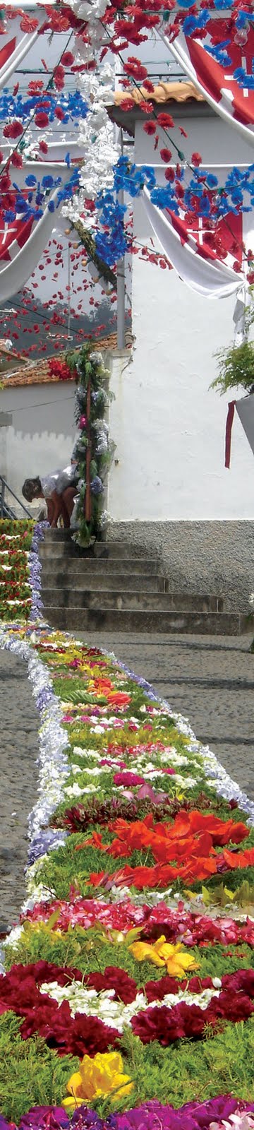 Mais Calheta - Madeira: Festas Populares | Arraiais