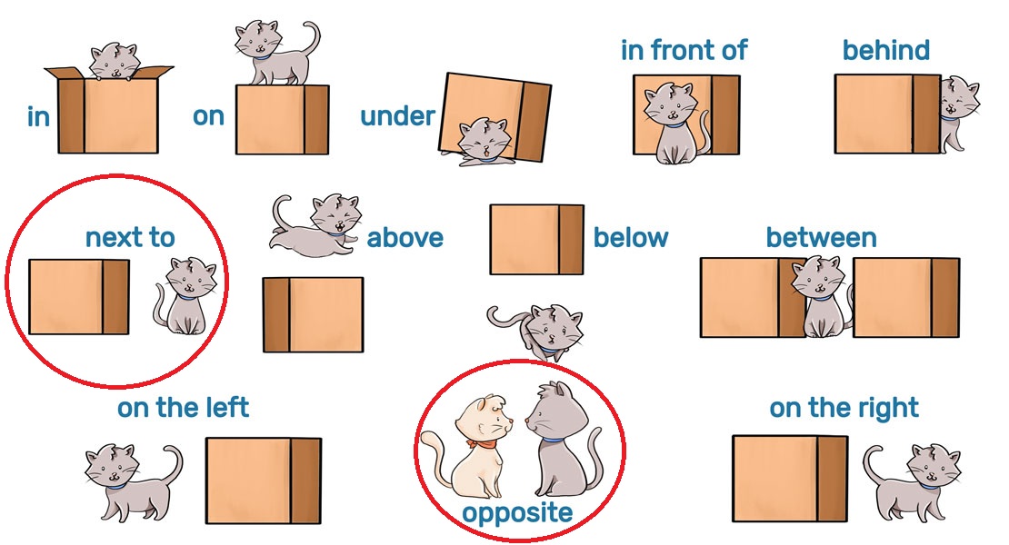 English Corner: 3º primaria