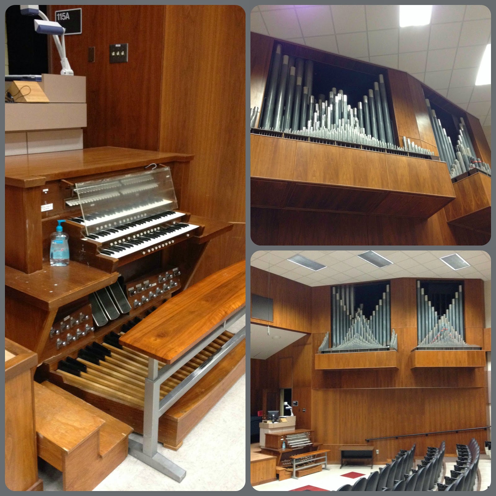 The Pipe Organ