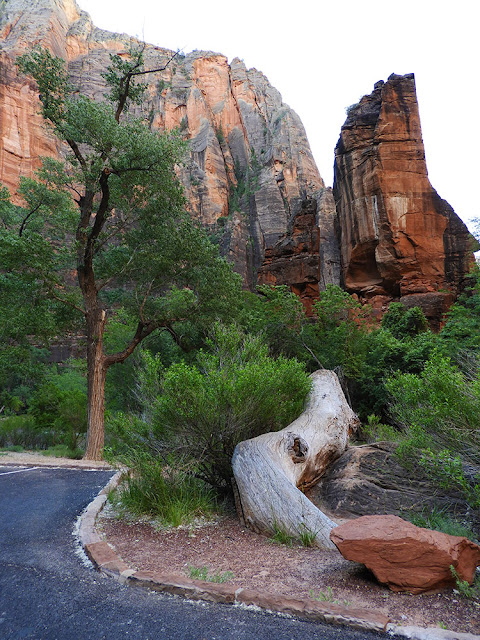 Sharon's Souvenirs: Zion: Part 1