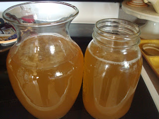 Natalie's Food 911: How to make a Kombucha 'mother'! SCOBY