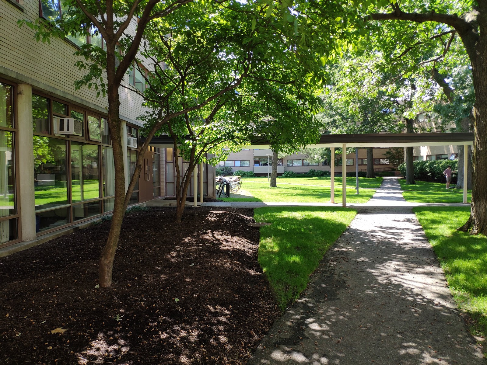 EntreVoir: Harvard Graduate Center - Walter Gropius