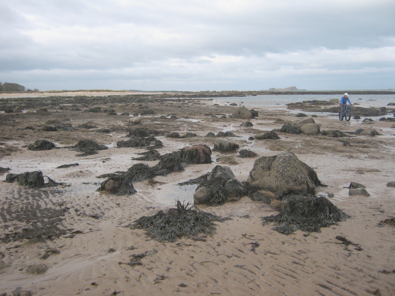 coastrider: Spring Tides Beach Rides...