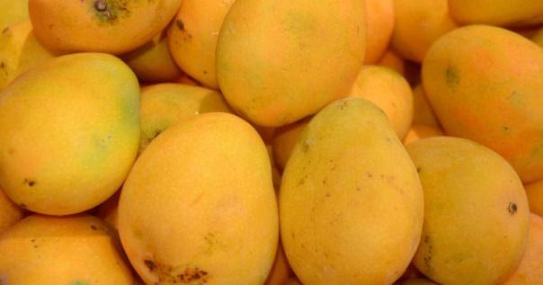 Pakistani mangoes benefits