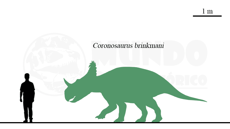 Mundo Pré-Histórico: Coronossauro, o dinossauro com coroa