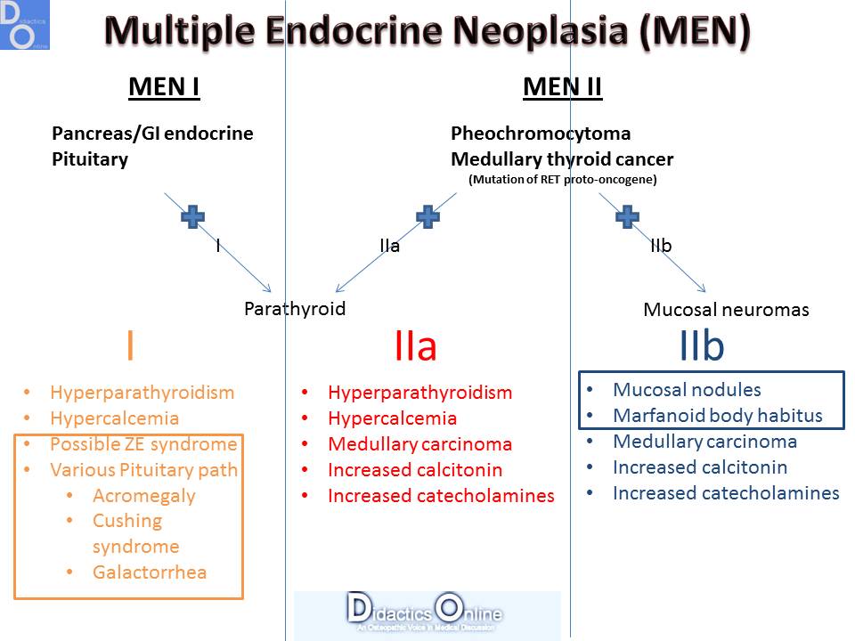 Kohti tulevaa: MEN1-Oireyhtymä