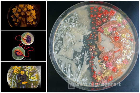 BioeducArte: ¿Arte Microbiano? Una forma de hacer ciencia artísticamente