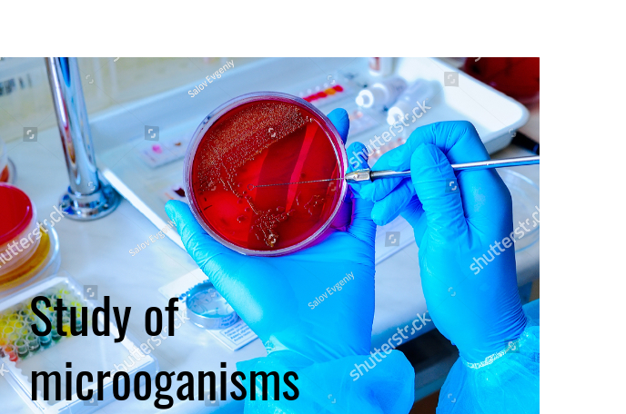 Important Applications of Microbiology: - Edu enquires
