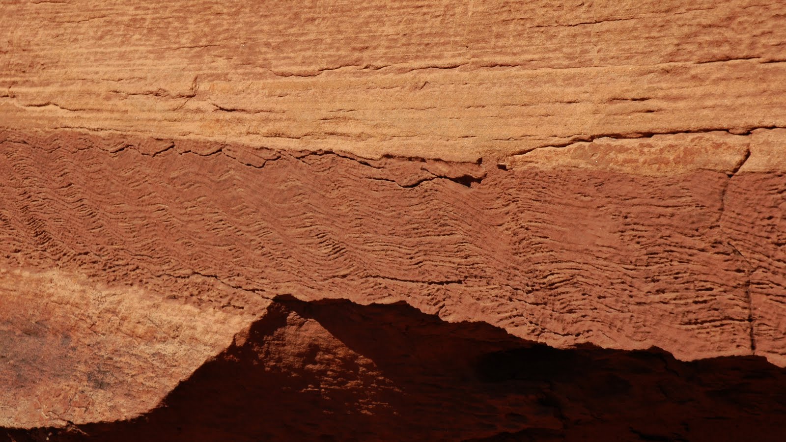 Sedimentary Structures and Bedforms
