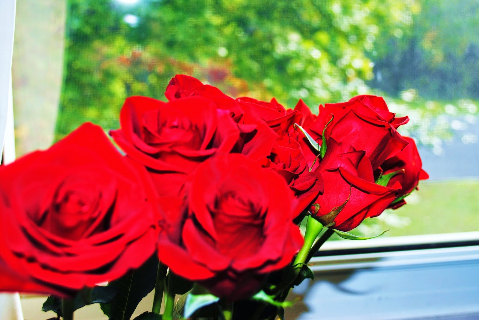 K. C. Trae Becker: Fertility – May Day; MSH#15 – Vanir; Mary, the ...