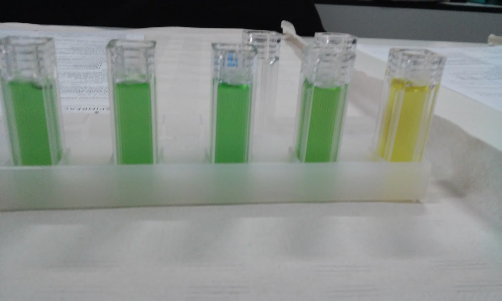 Bioquímica: DETERMINACIÓN DE LA UREA
