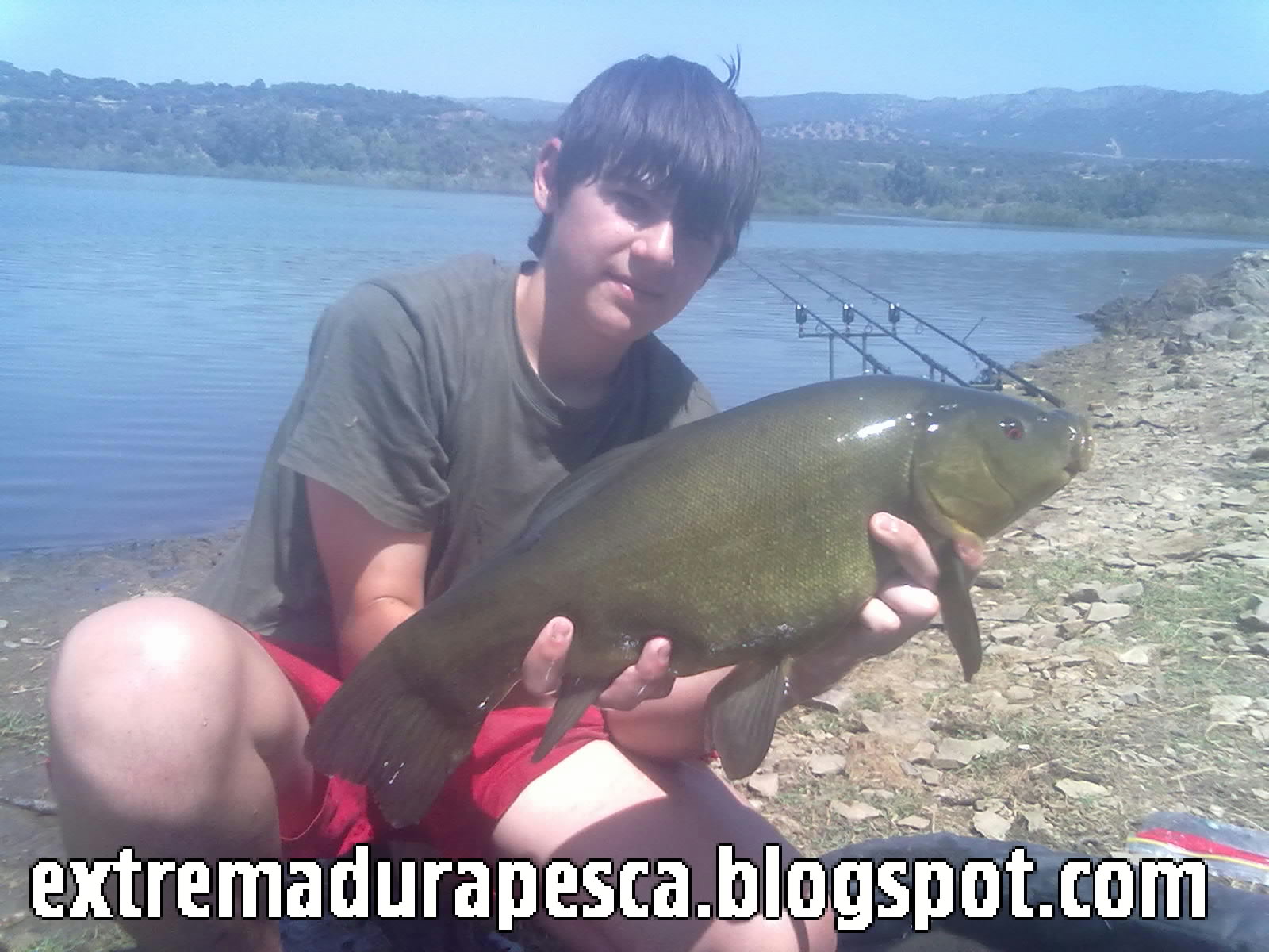 LA PESCA EN EXTREMADURA: Tenca