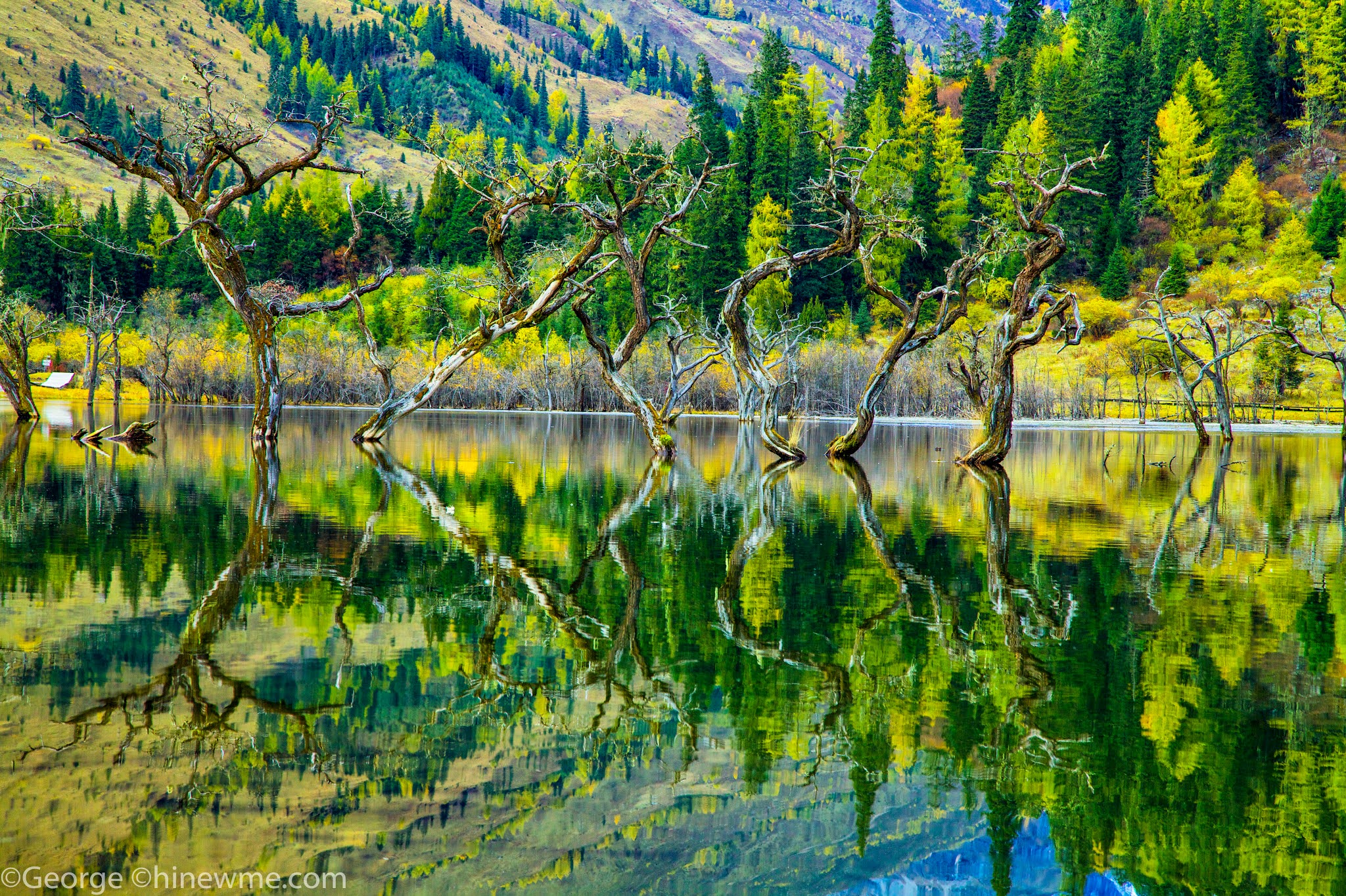 40+Travel landscape photography, 19photograph skill - HiArt