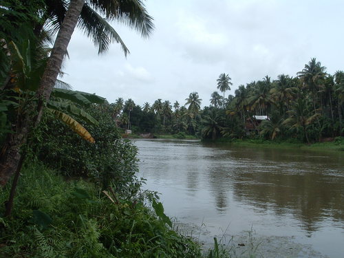 keralariver: KARUVANNUR PUZHA