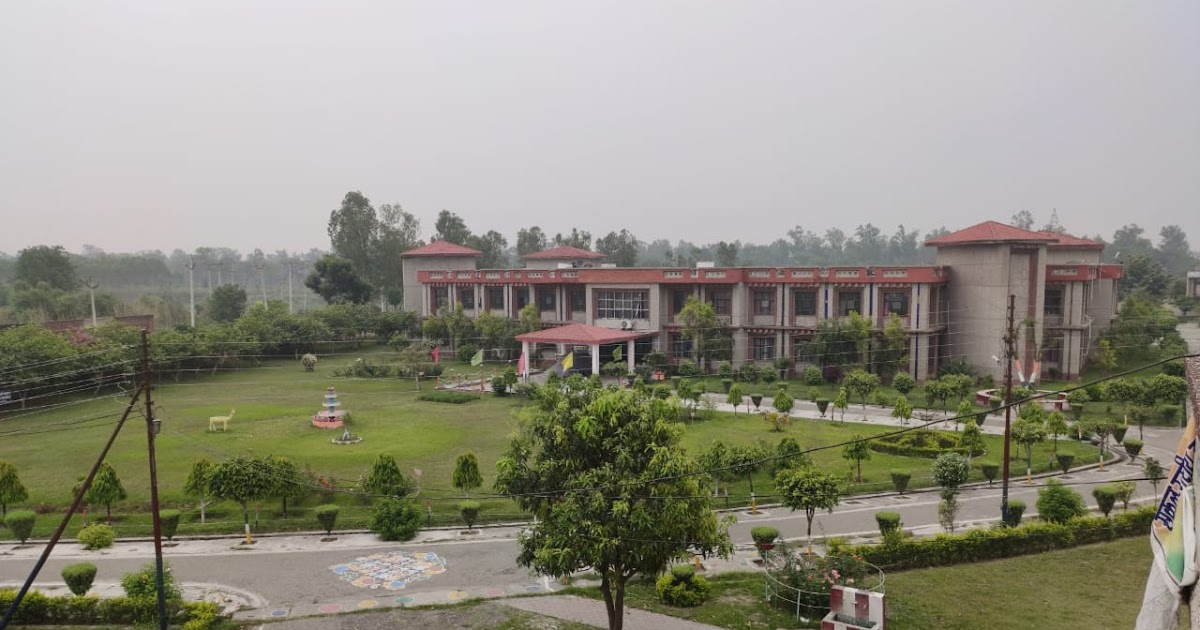JNV YAMUNANAGAR LIBRARY: JNV YAMUNANAGAR HARYANA