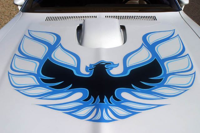 Just A Car Guy: the screaming eagle, flaming chicken... the Trans Am ...