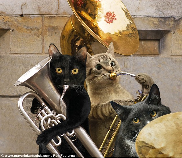 Cat Playing Trombone