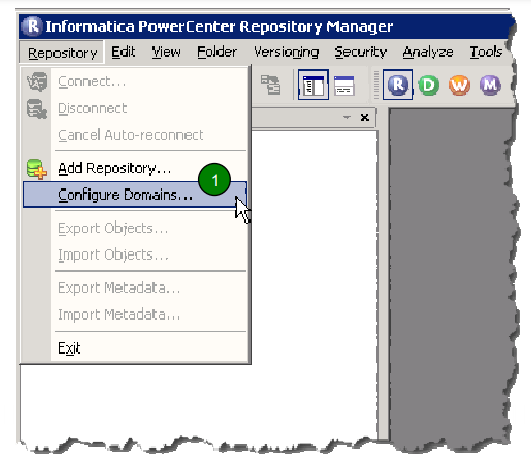 Repository Manager Tool in Informatica