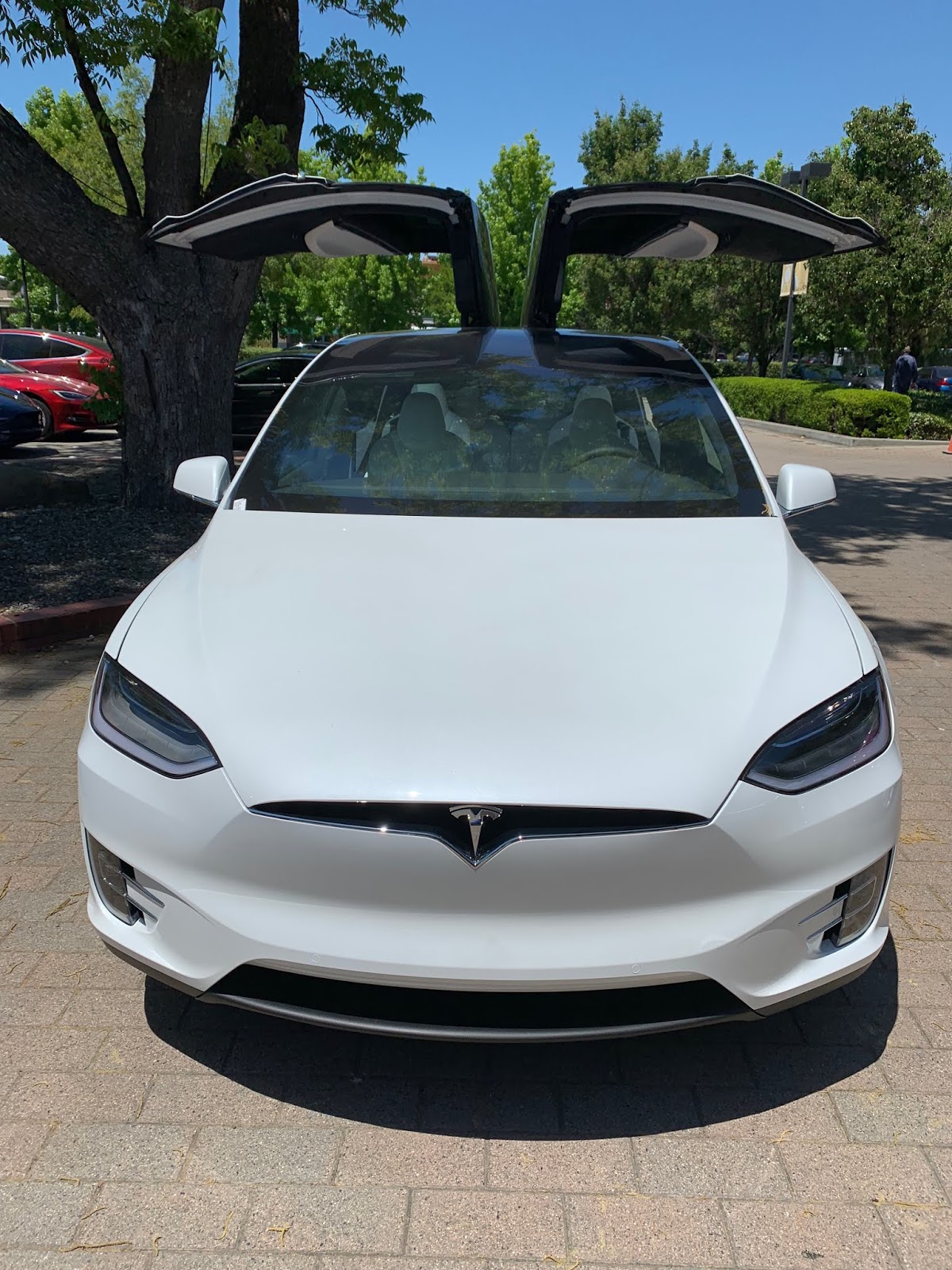 Quiet Highway: Saga of a Gentleman: Tesla's Annual Shareholder Meeting ...