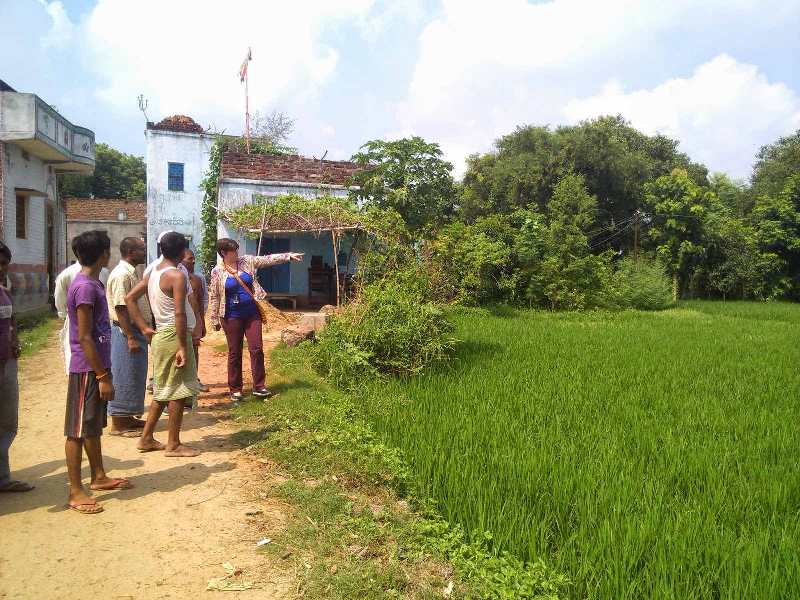 Developments in rural areas across the world: Selecting sites to make ...