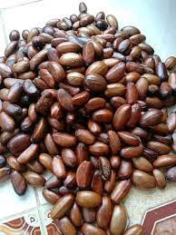 Makanan ekstrem bikin merinding dan mual, bahkan sampai mau keluar ...