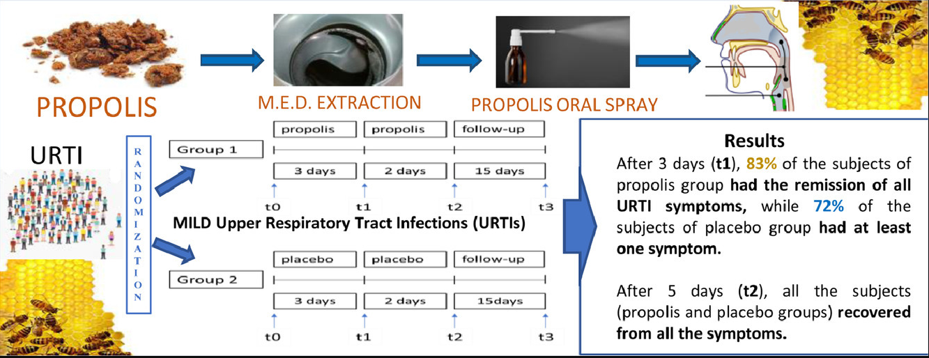 Apitherapy News: Propolis Spray Helps Treat Viral and Bacterial Upper ...