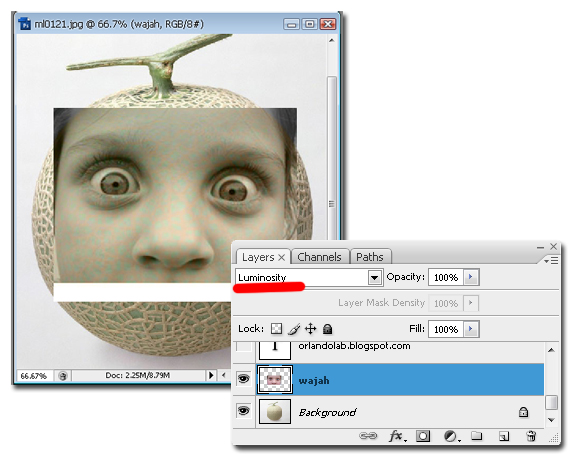 Manipulasi Gambar - Manusia Buah Melon | Kumpulan Tutorial Edit PHOTOSHOP