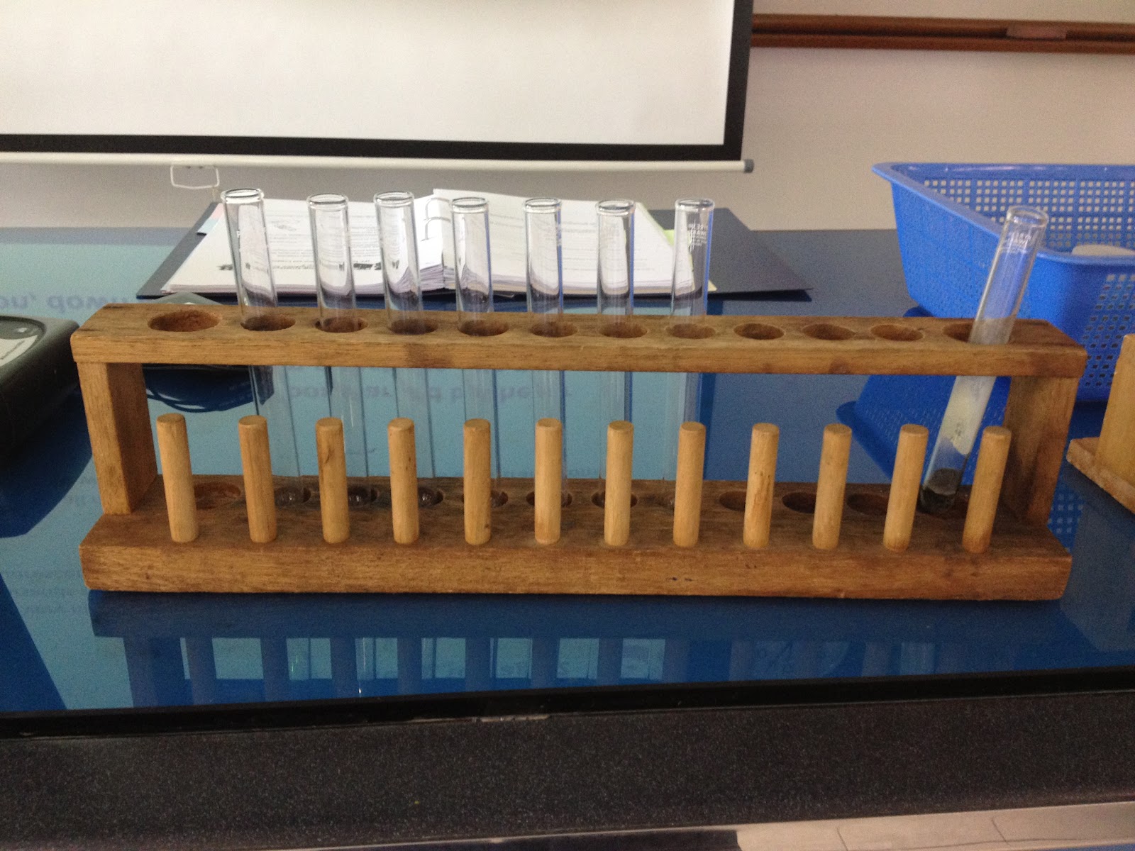 Sean Wang's Awesome Blog!: Science E-portfolio