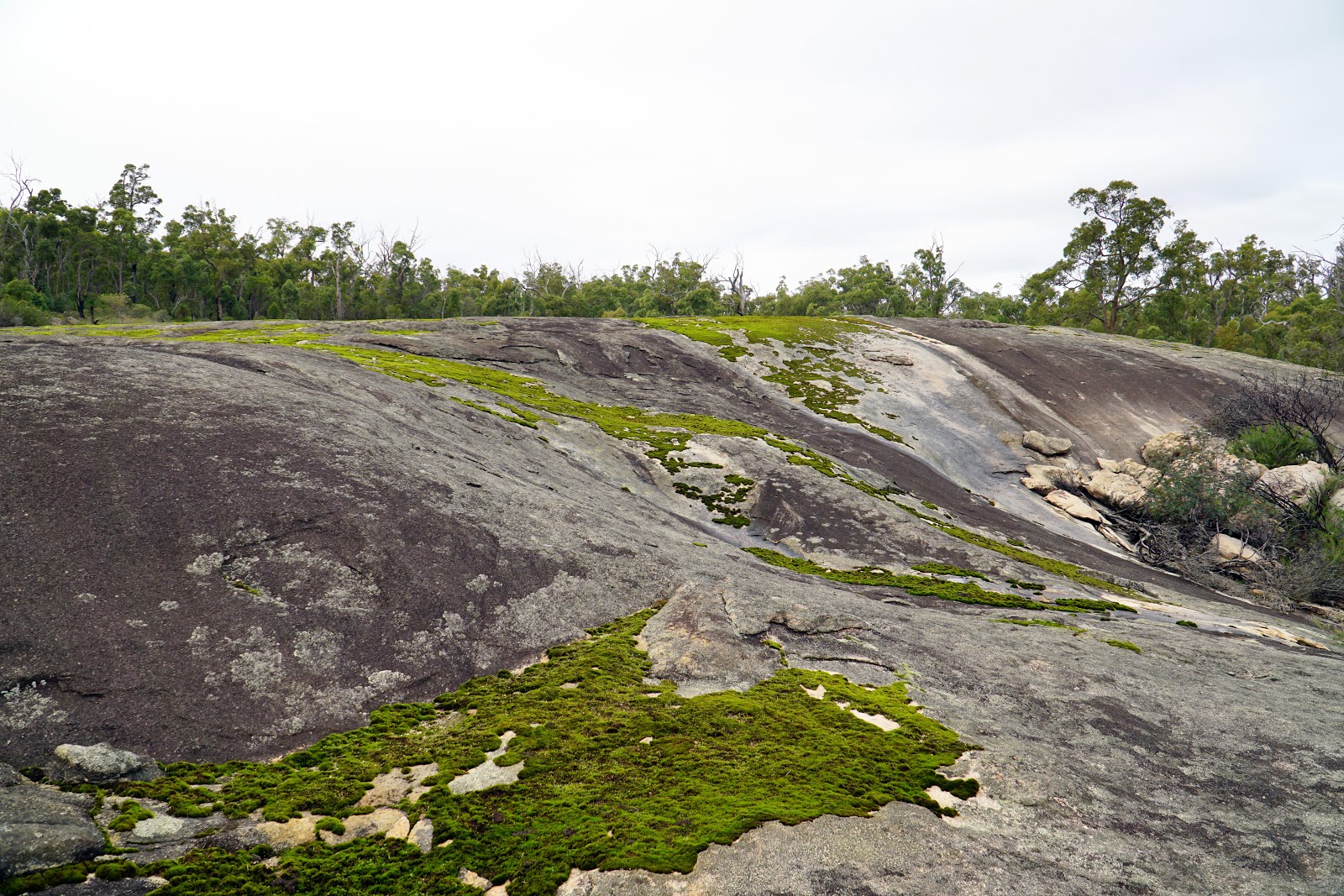 Abyssinia Rock Walk GPS Route (Jarrahdale State Forest) ~ The Long Way ...
