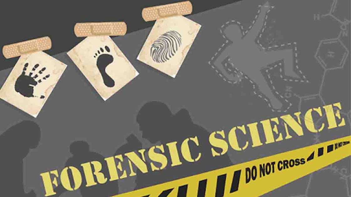 sopa de letras ramas de las ciencias forenses