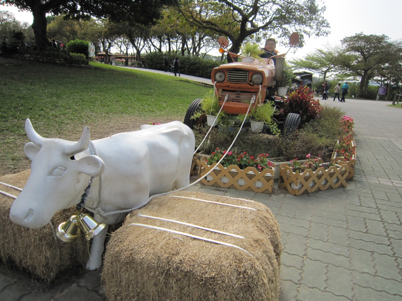 The Meister speaks!: Taiwan 2011 - Flying Cow Ranch