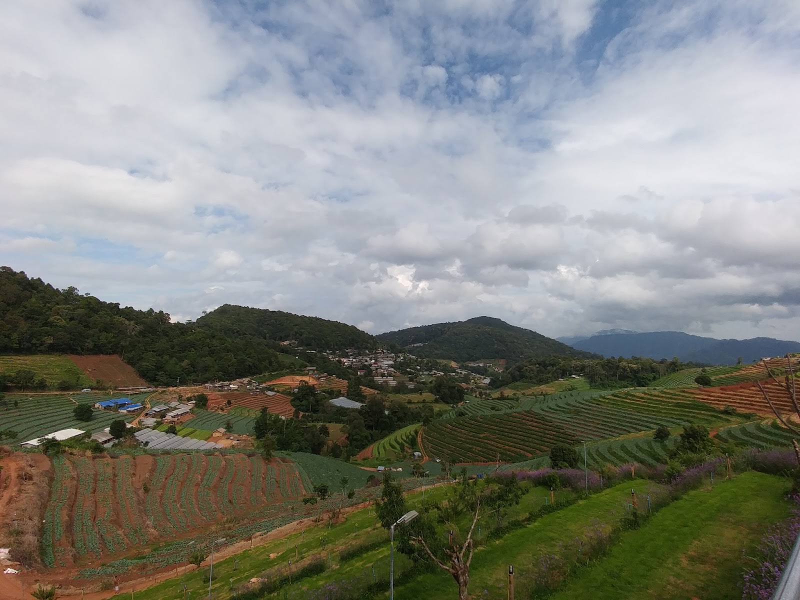 Travelogue: Exploring Chiang Mai, Chiang Rai & Phu Chee Fah - XINLINNN