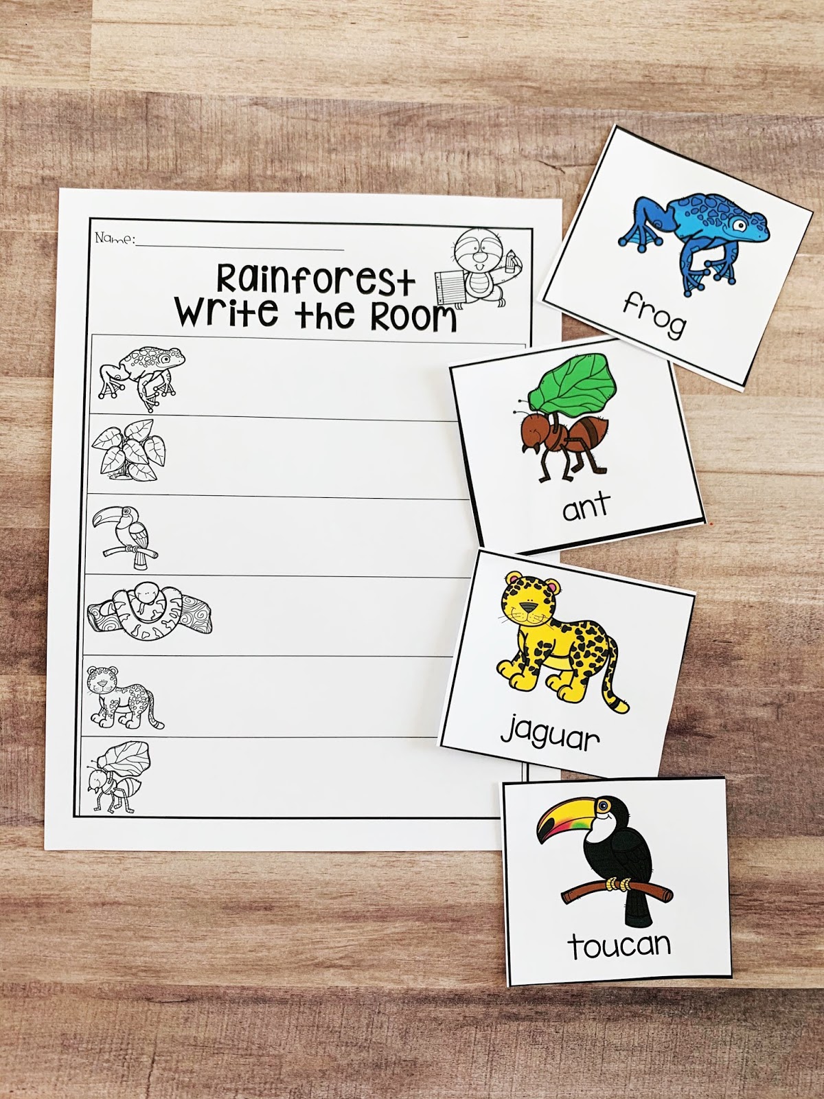 Rainforest ELA Unit for Kindergarten and 1st Grade | Busy Hands and Minds