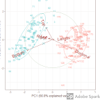 Correlation analysis in R