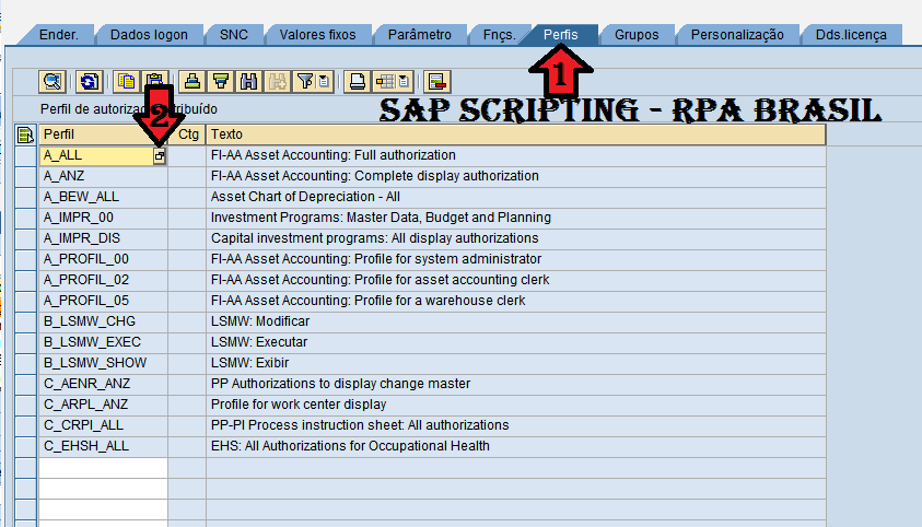 SAP SCRIPTING - RPA BRASIL