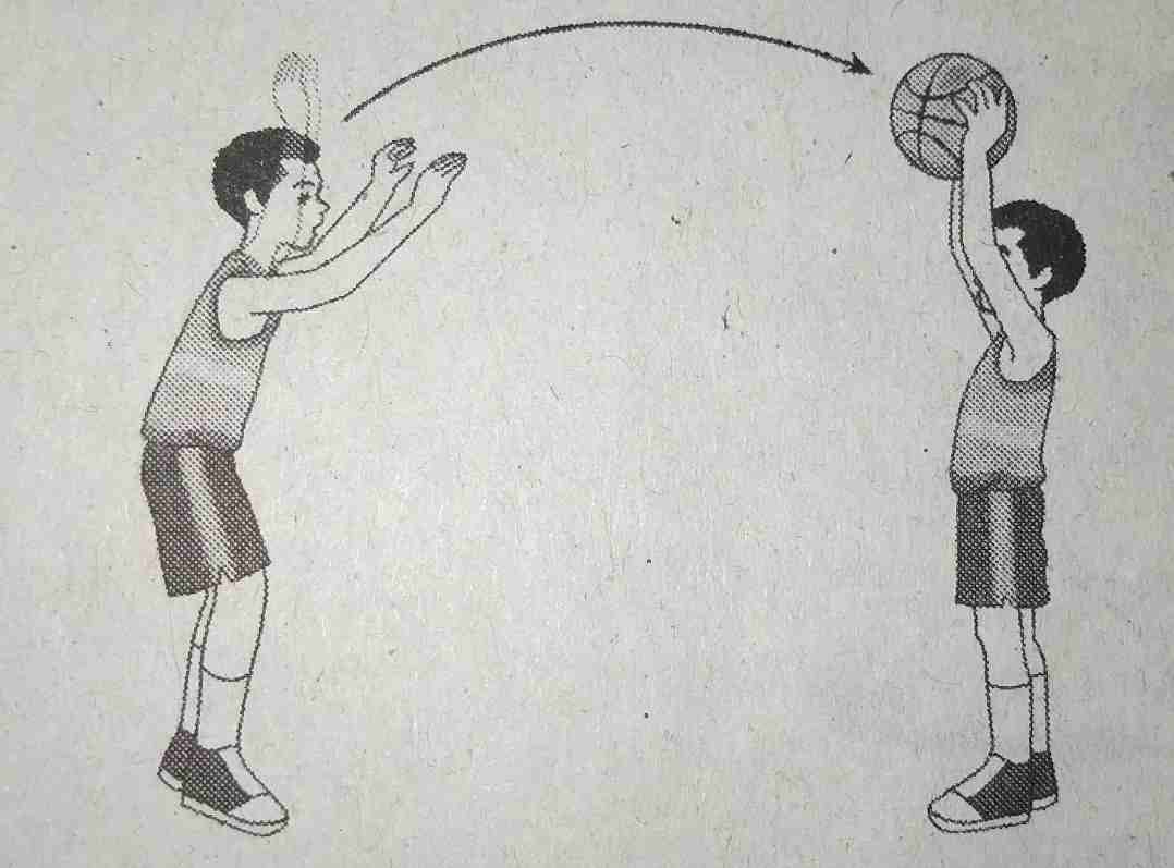 Teknik - Teknik Dasar dalam Permainan Bola Basket - Jasmani Pedia