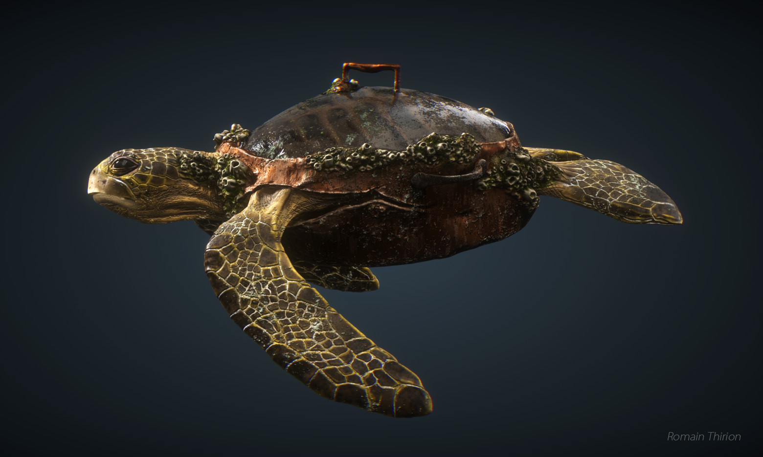 My Cultural Landscape: The Dark Side of the Wounds