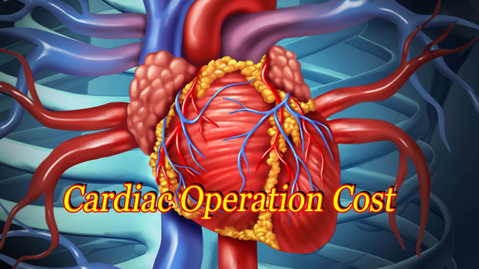 Cardiac Operation Cost in National Heart Foundation - Specialist Doctor ...