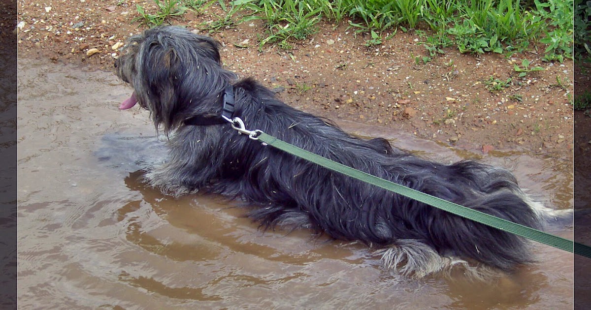 Tierisches: Unterwasserwelt Teil 2