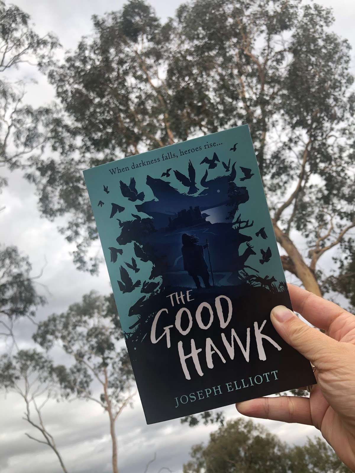 77 Saturday :: The Good Hawk by Joseph Elliot - Bookish Bron