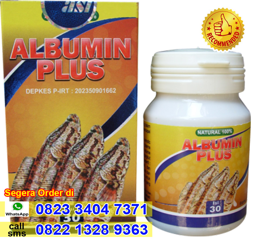 HUB 0823.3404.7371 Agen Kapsul ikan kutuk di apotik Malang, Albumin Plus